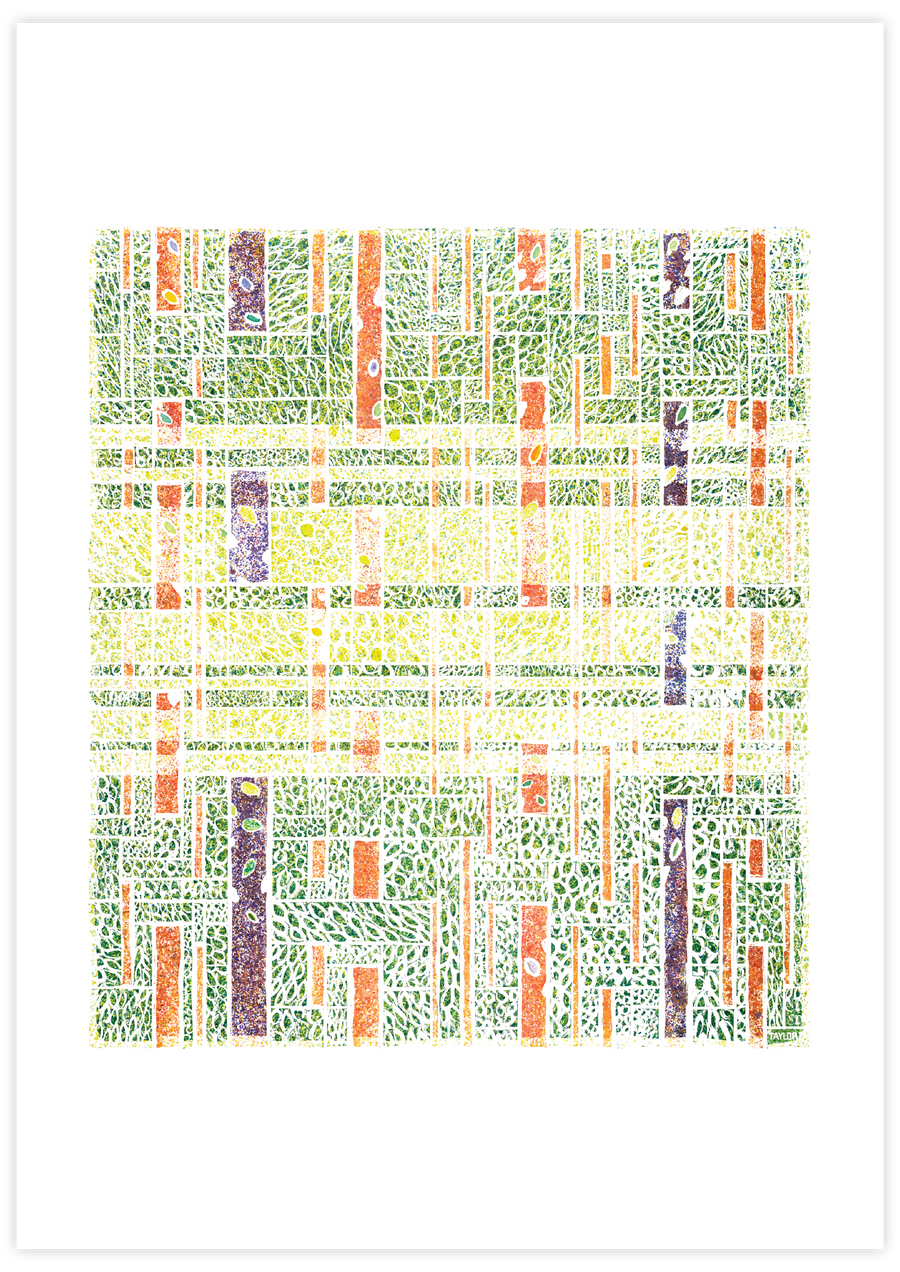 Native Weave Abstract Wall Art Print by Philip Taylor | artandrealism.com