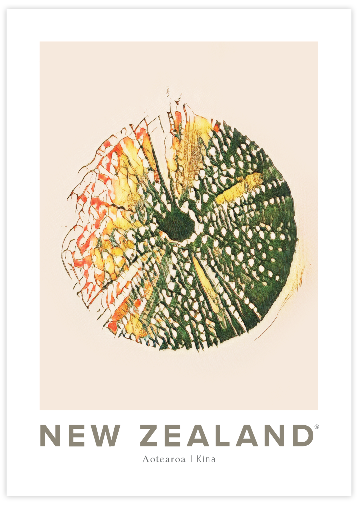 New Zealand Kina Art Poster Print by Art & Realism | Art & Realism